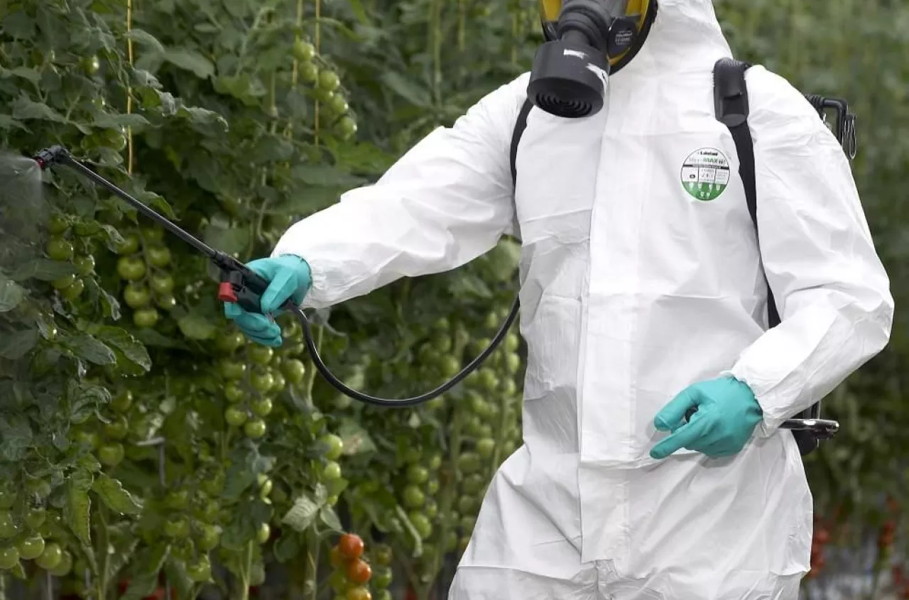 Jak bezpiecznie stosować środki ochrony roślin? PIORIN przypomina